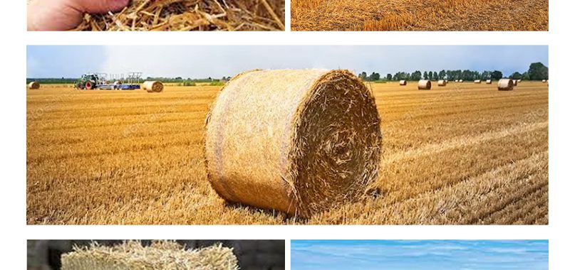 Wheat Straw - More Than Just Bedding Material - Fodderhut